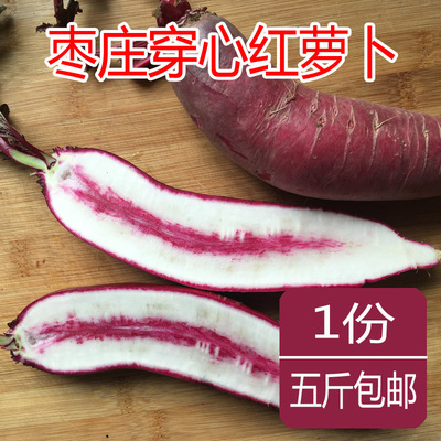 新鲜枣庄穿心红红萝卜5斤装