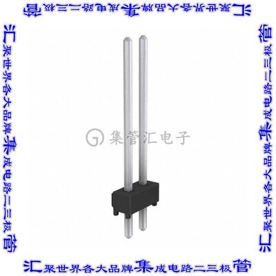 TSW-101-17-T-D 针座连接器2POS接头2排公形插针通孔直针锡