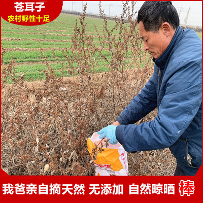 天然无添加抢子虱马头包邮