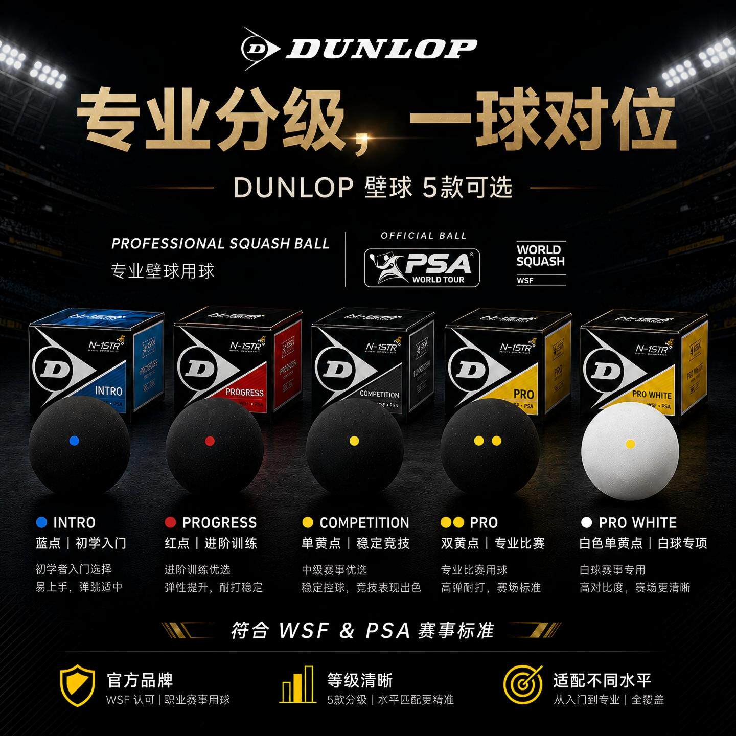 邓禄普登路普DUNLOP双黄点壁球职业比赛球蓝点红单黄点标准弹力球