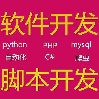 定制做软件程序开发数据分析