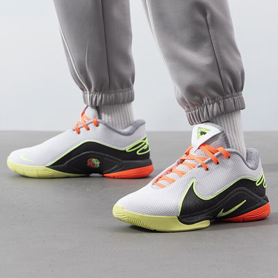 耐克男鞋新款LEBRON XXII詹姆斯22代缓震实战篮球鞋 FZ1095-101