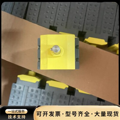 全新荷兰santon隔离开关
