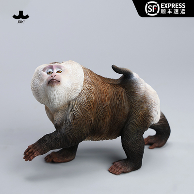 1/6网红豚尾猴手办模型