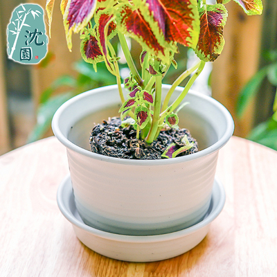 加厚简约树脂花盆仿陶瓷