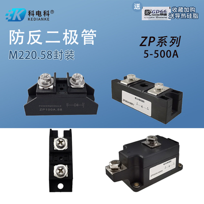 ZP100A.58二极直流防逆流