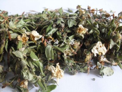秦岭太白山 药王修道茶 华西银腊梅 野生一斤装