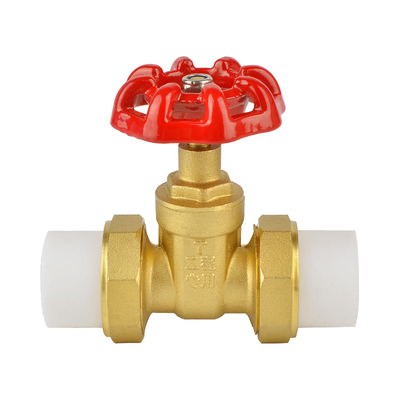 全铜玉环PPR双外活接闸阀PE升降式20管6分闸门表前闸阀门热熔闸阀