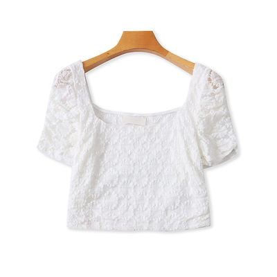 圆领蕾丝短款小衫修身时尚短袖