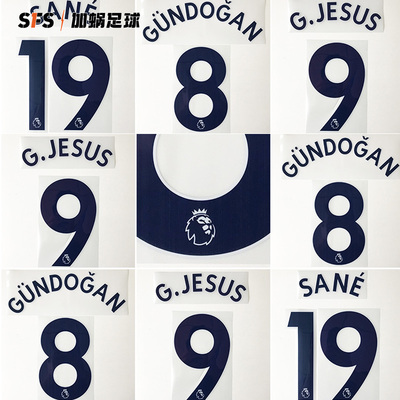 SFS印号多选项（非球衣）