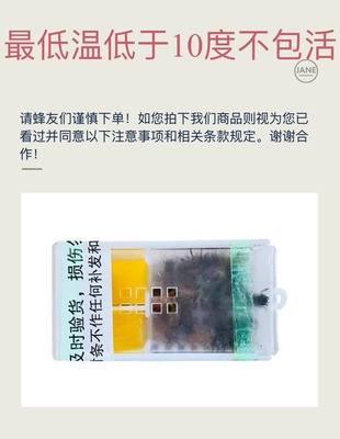 极速蜂王种王高产蜜蜂蜂群仓王优质新开产中蜂P蜂王带封盖子脾中