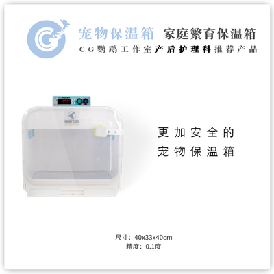 亚洲飞鹰保温箱保温箱鹦鹉