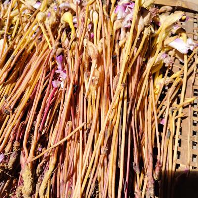 中药材青草药野生野菰全草当季蔗寄生蛇箭草野菰草白茅花250g包邮
