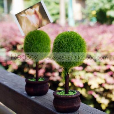 redbox绿色席位夹圆形爱心签到台