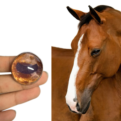 马兽头兽装玩偶半球玻璃眼睛毛毡动物圆瞳仿真马眼扭扭棒福瑞