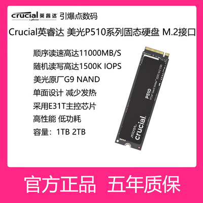 英睿达固态硬盘P510M.222801T