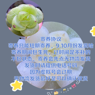 寄养和包邮协议，请仔细阅读