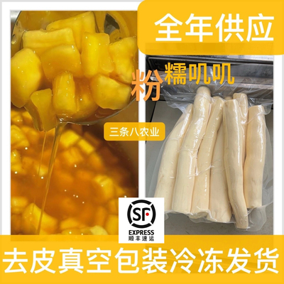 广西防城港华南9号黄心木薯螺蛳粉店专用去皮真空包装顺丰包邮