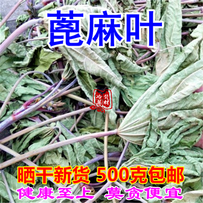 干货红杆蓖麻叶蓖麻树叶子包邮