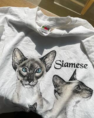 Autismss宝藏屋oldschool复古