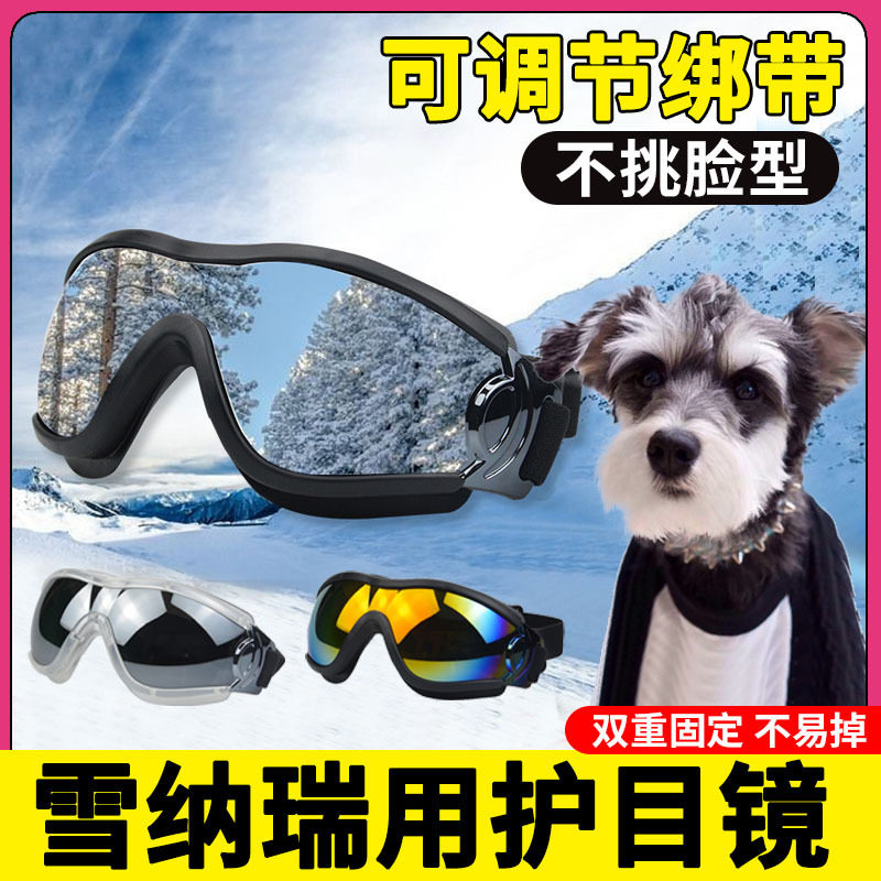 雪纳瑞专用狗狗护目镜宠物配饰小狗墨镜防风眼镜小型犬太阳镜骑行