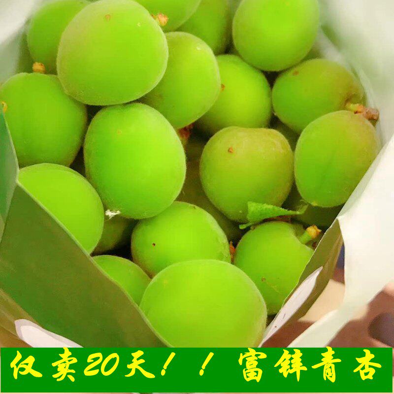 小酸杏 密云农家山坡新鲜青杏 青梅 酸酸流口水 现摘 3斤