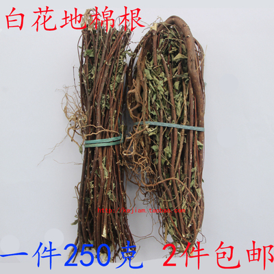 白花地棉根梅州客家土特产地绵茎