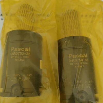 可维修Pascal 进口DNR0750-38正品议价