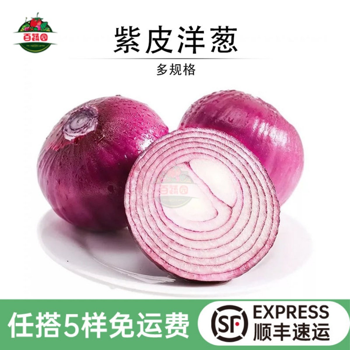 云南紫皮洋葱新鲜红皮农家圆葱头西餐沙拉蔬菜脆甜辣调味增香食材