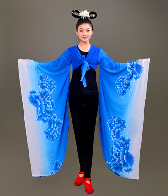 广袖外披雪纺印花多色古装汉服