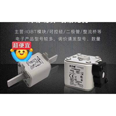 巴斯曼快速熔断器170M3018 170M3415 17咨询维修