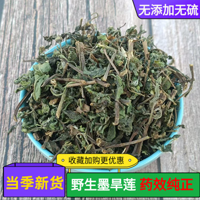 野生新货墨旱莲 旱莲草 墨莲草 醴肠 墨斗草 乌须发另有无患子