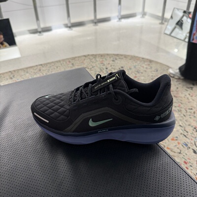 Nike耐克男鞋WINFLO 11 GTX减震防水运动休闲跑步鞋 FQ1358-006