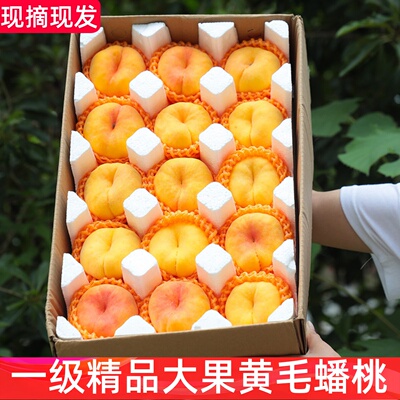 正宗山东蒙阴黄金毛蟠桃香甜爆汁扁桃子现摘新鲜5斤当季孕妇水果6