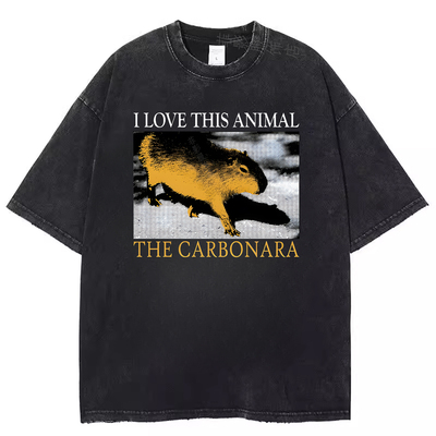 搞笑有趣的Capybara复古水洗黑做旧短袖t恤美式小众meme印花上衣
