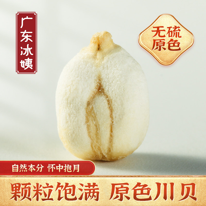 川贝母无硫足干中药材精选四川野生松贝粒炖雪梨儿童止清闰肺咳汤