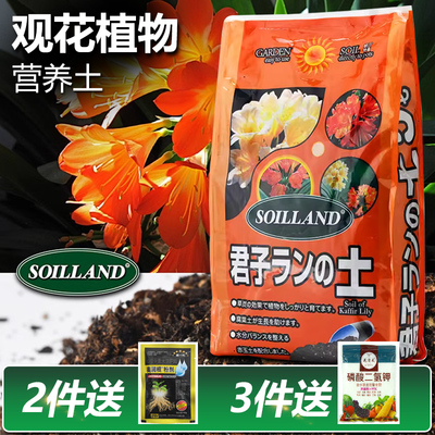 朝日通用君子兰专用营养土有机