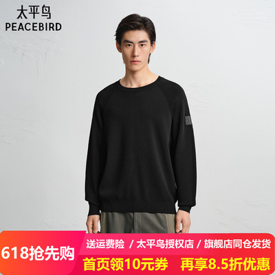 【商场同款】太平鸟男装 休闲毛衫立体缝标男士时尚毛衣B2EBF4509
