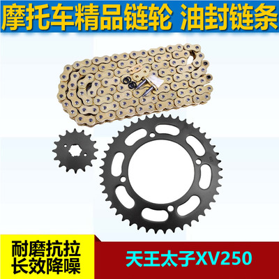适用于摩托车雅马哈天王太子XV250链盘大小链轮前后牙盘520套链条
