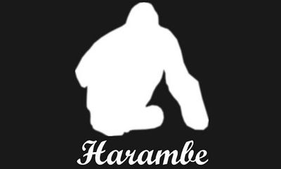 RIP Harambe Gorilla Cincinnati Zoo订制MLB NHL NFL NBA旗帜大