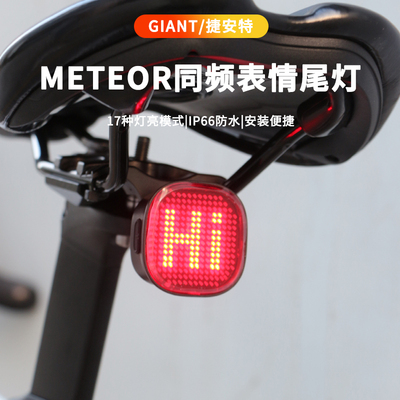 捷安特自行车尾灯骑行配件