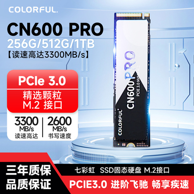 七彩虹1T/2T/4T高速固态硬盘