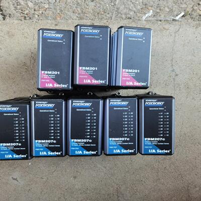 Foxboro福克斯波罗卡件模块  FBM207C