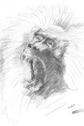 【预售】Mystories of the Savannah