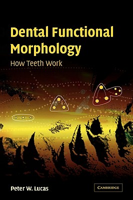 【预售】Dental Functional Morphology Dental Functional