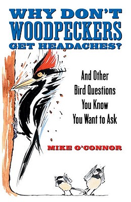 【预订】Why Don't Woodpeckers Get Headaches?: And Other