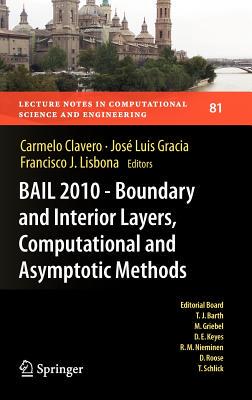 【预售】Bail 2010 - Boundary and Interior Layers