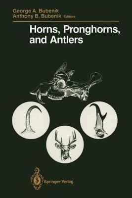 【预售】Horns, Pronghorns, and Antlers: Evolution