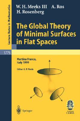 【预售】The Global Theory of Minimal Surfaces in Flat
