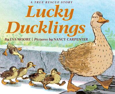 【预售】Lucky Ducklings